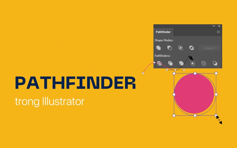 Pathfinder là gì? Lợi ích vượt trội của pathfinder
