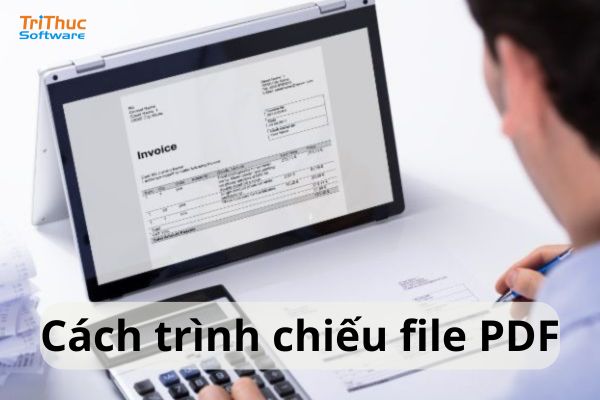 Cập nhật 5 cách trình chiếu file PDF hiệu quả 2025