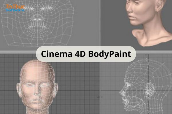 Phần mềm Cinema 4D BodyPaint là gì? Mua bản quyền Cinema 4D 2025