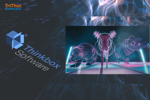 Phần mềm Thinkbox là gì? Các phần mềm chính trong Thinkbox Software 2025