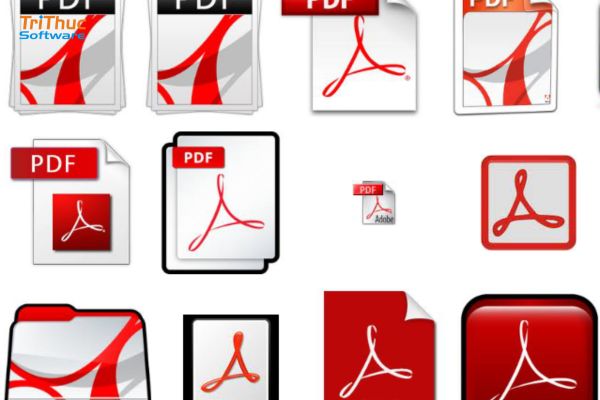 Cập nhật 5 cách trình chiếu file PDF hiệu quả 2025