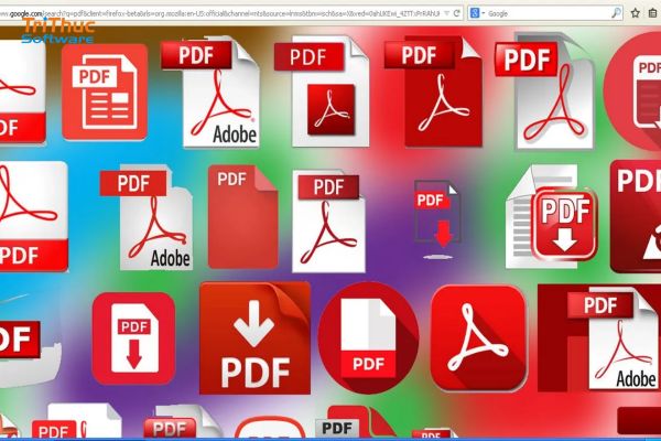 Cập nhật 5 cách trình chiếu file PDF hiệu quả 2025